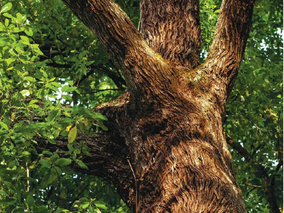 Our Philosophy - Wing Tai Holdings Limited