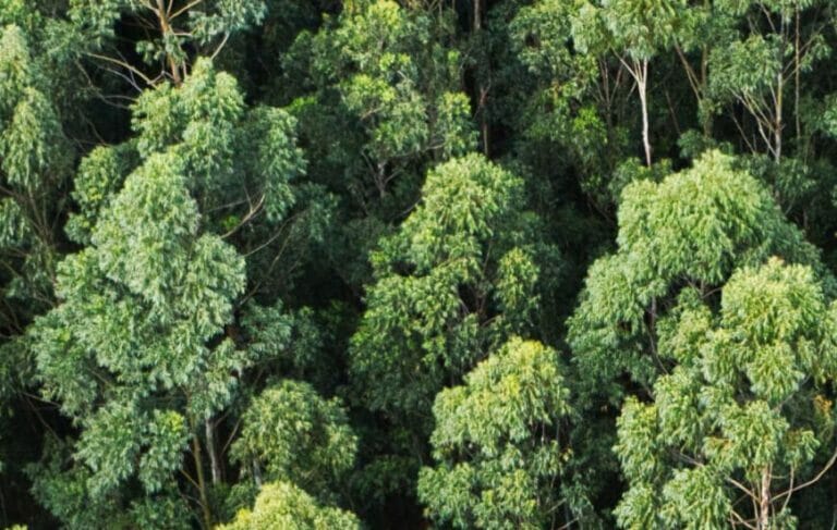 Wing Tai Holdings Limited